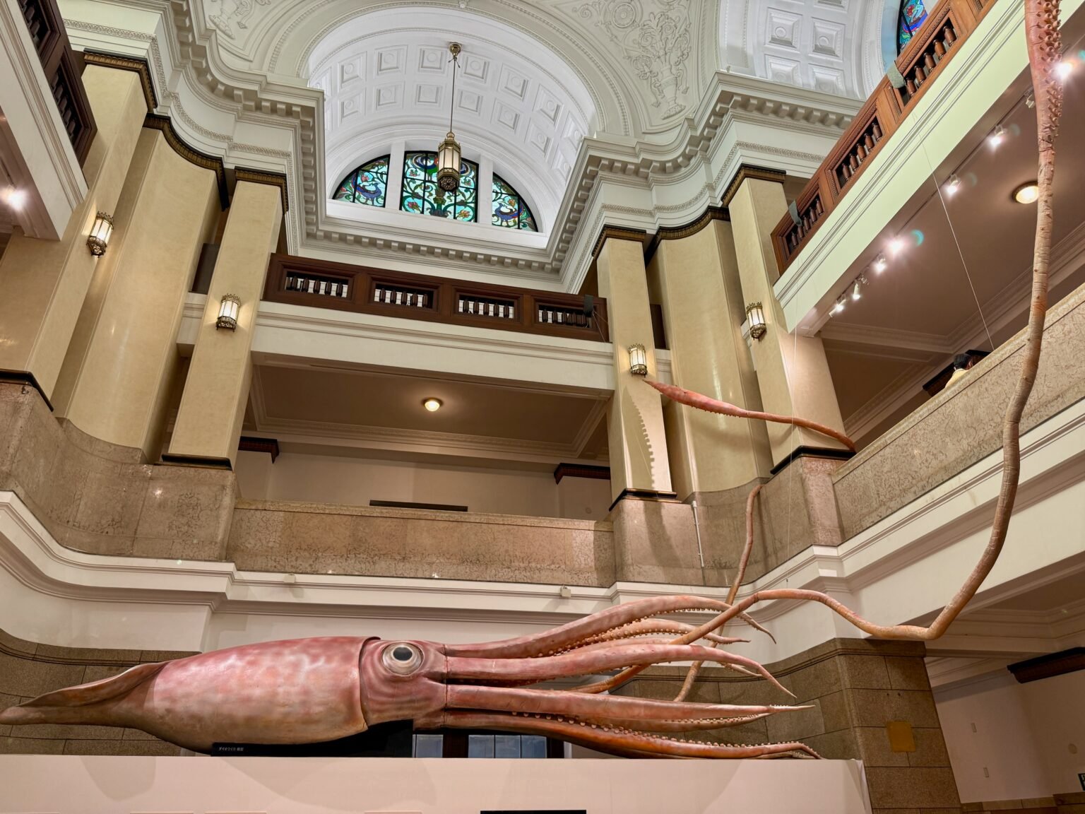 National Museum of Nature and Science Tokyo: What to See - Curious Don
