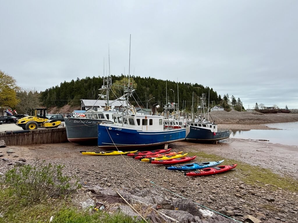 Why the Bay of Fundy Tides Are the World’s Highest - Curious Don