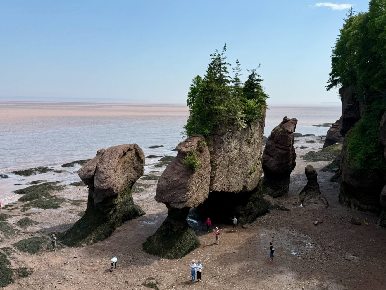 Why the Bay of Fundy Tides Are the World’s Highest - Curious Don