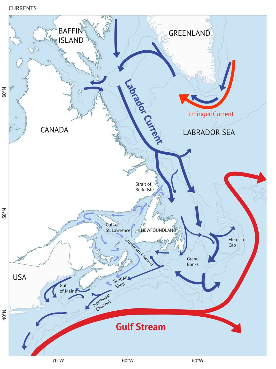 Why the Bay of Fundy Tides Are the World’s Highest - Curious Don